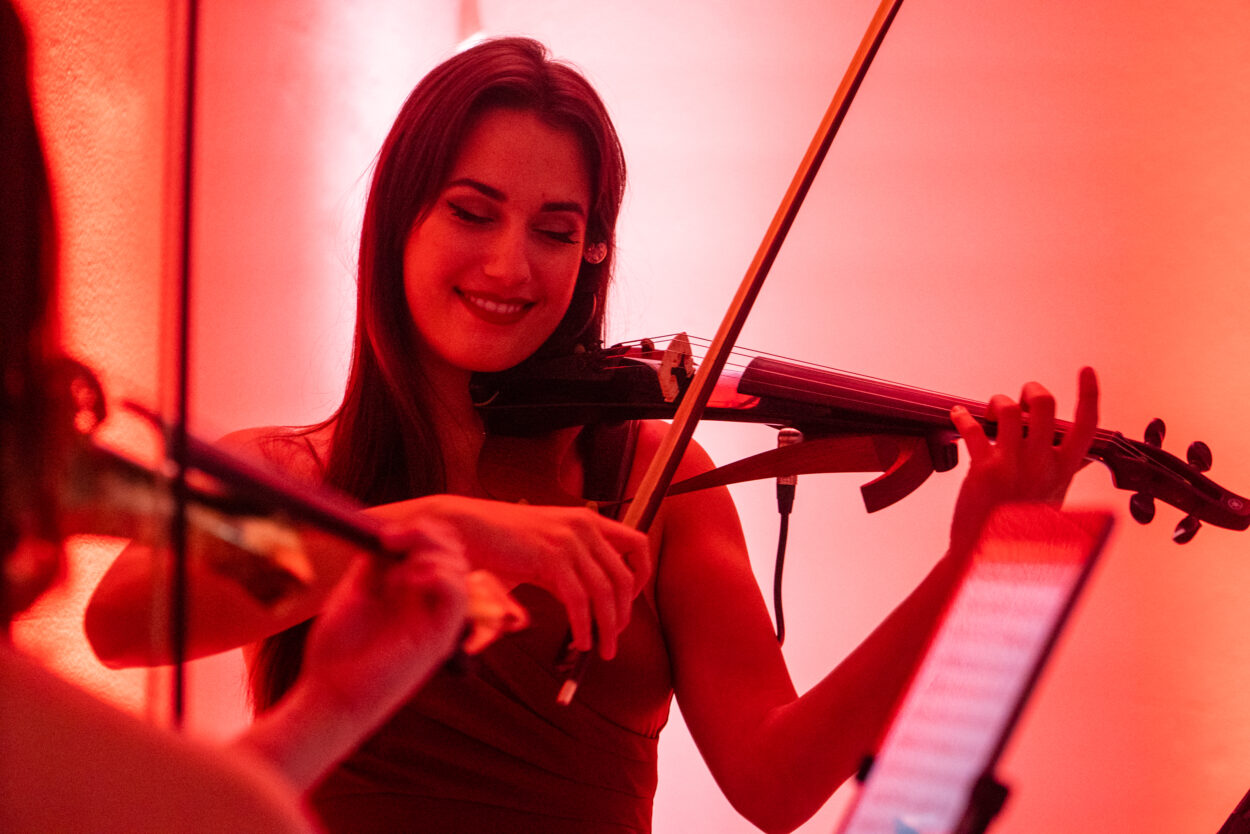 Euphonica Lounge Orchestra - Euphonica