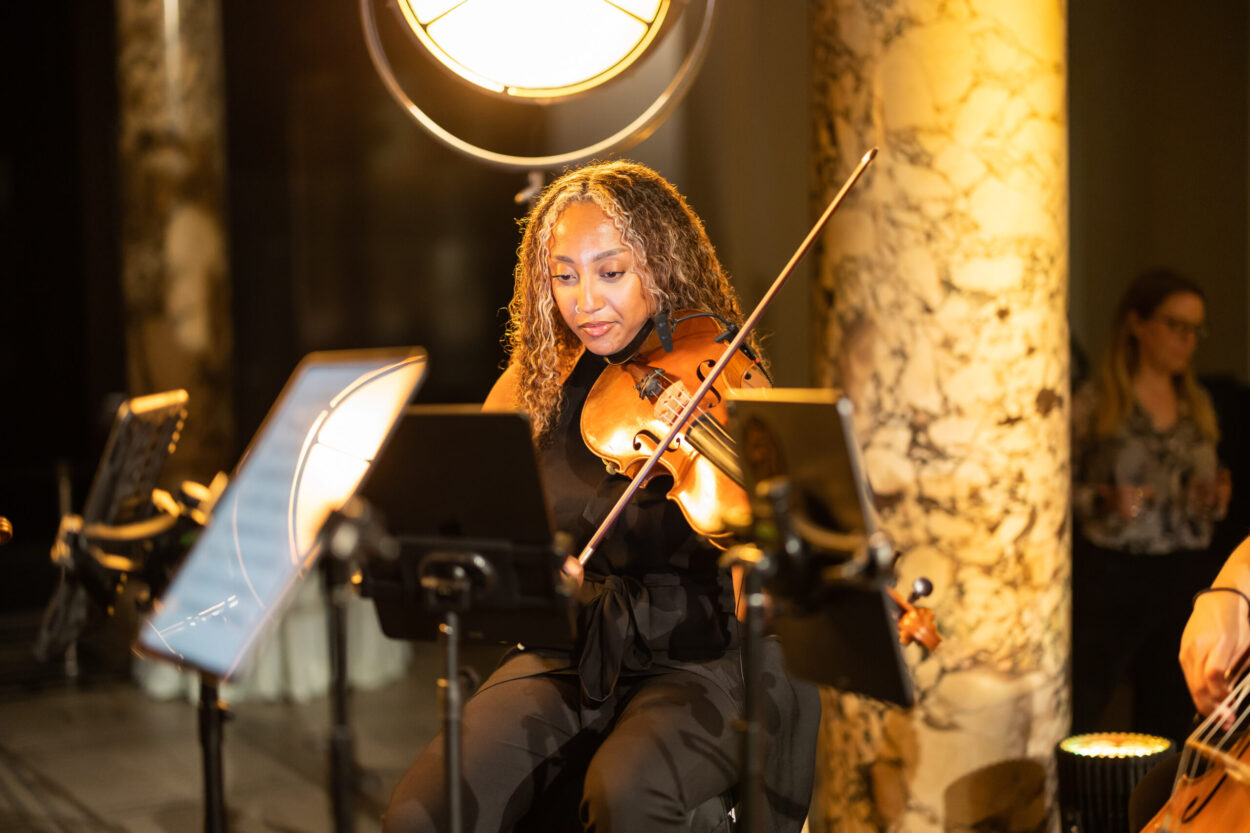 Euphonica Lounge Orchestra - Euphonica